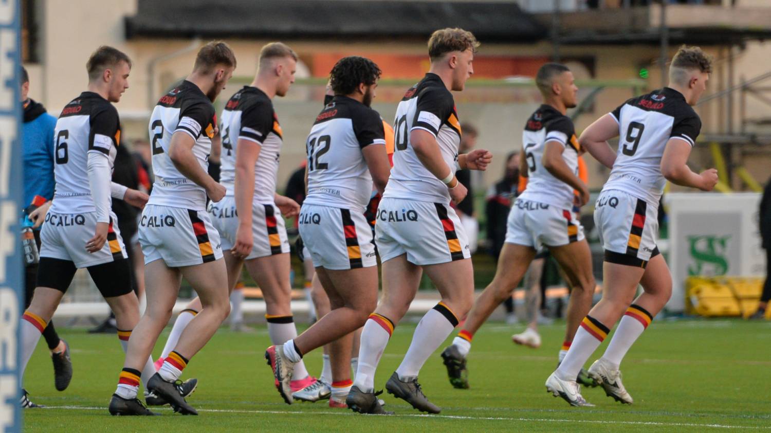 THE YOUNG BULLS ARE BACK